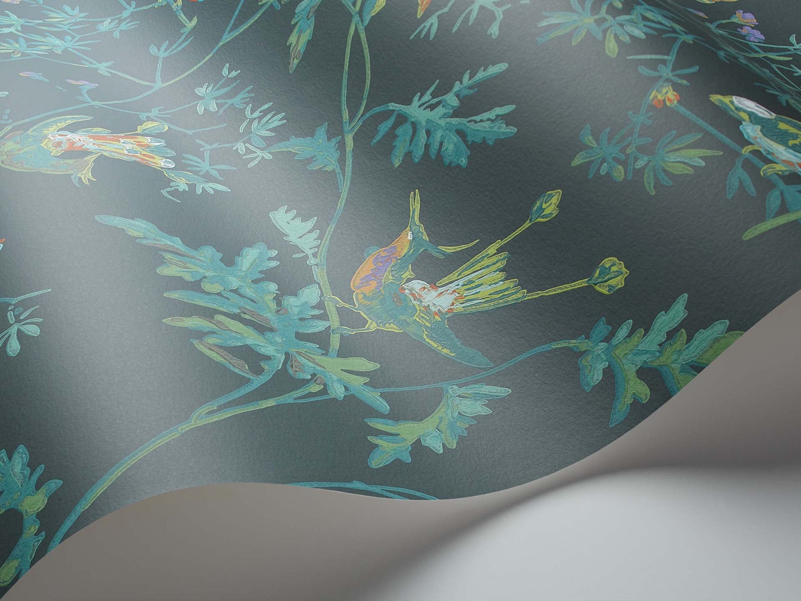 Cole & Son Hummingbirds Birds Wallpaper Melbourne – Wallpaper Brokers