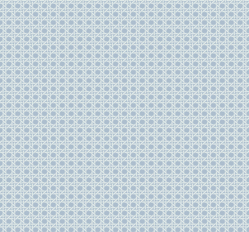 Wicker Screen - Wallquest Wallpaper Brokers