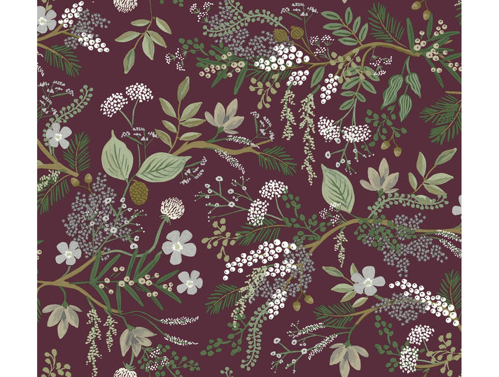 Juniper Forest Wallpaper Australia – Wallpaper Brokers