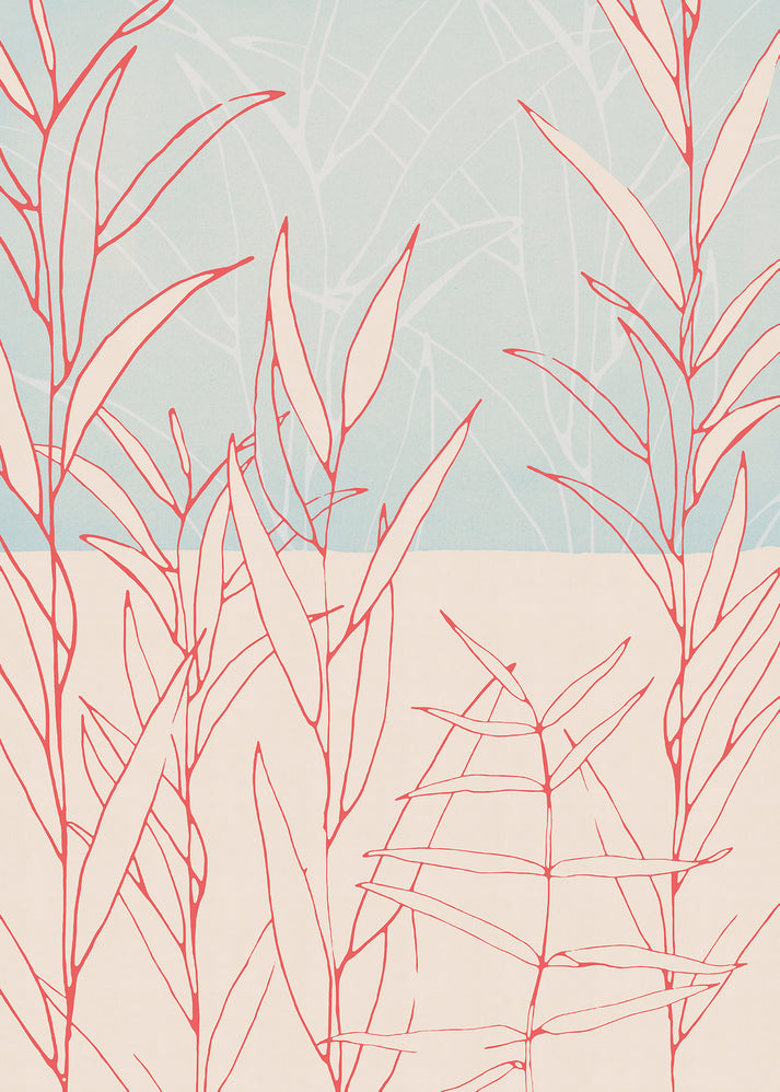 Plain Wall Mural Wallpaper Brokers Australia